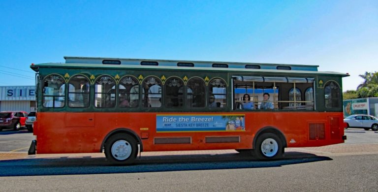 Local Stuff - Midnight Cove II